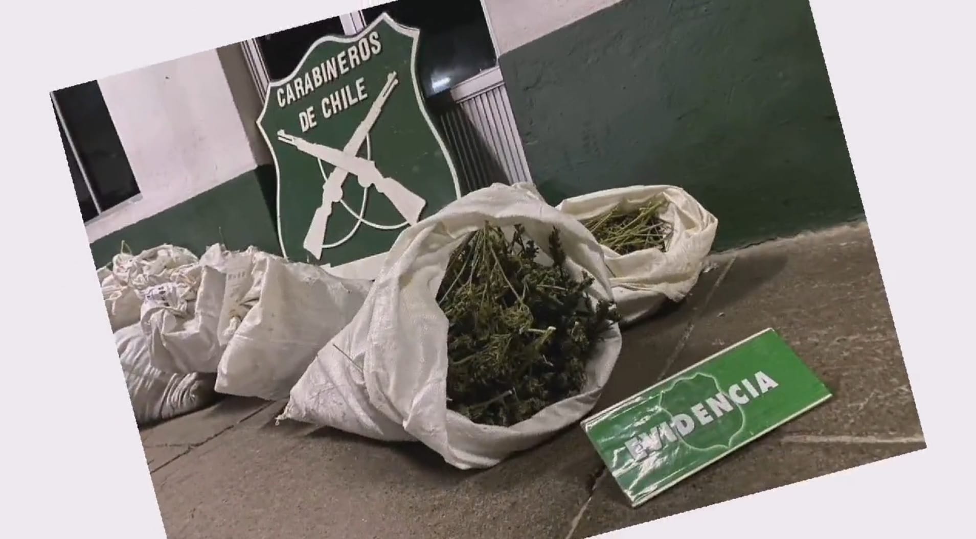 Región de Coquimbo, Atención, Carabineros incauta más de 22 kg de marihuana tras persecución ...