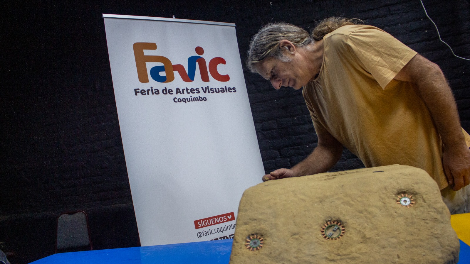 Región de Coquimbo. En marcha la selección y curaduría para FAVIC 2024 ...